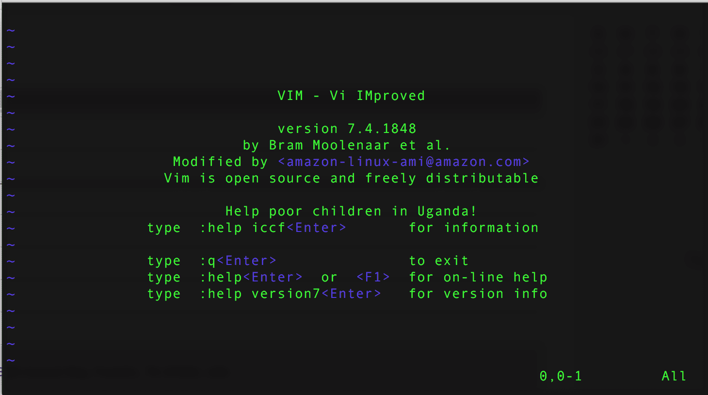 A Crash Course Of The VI Editor